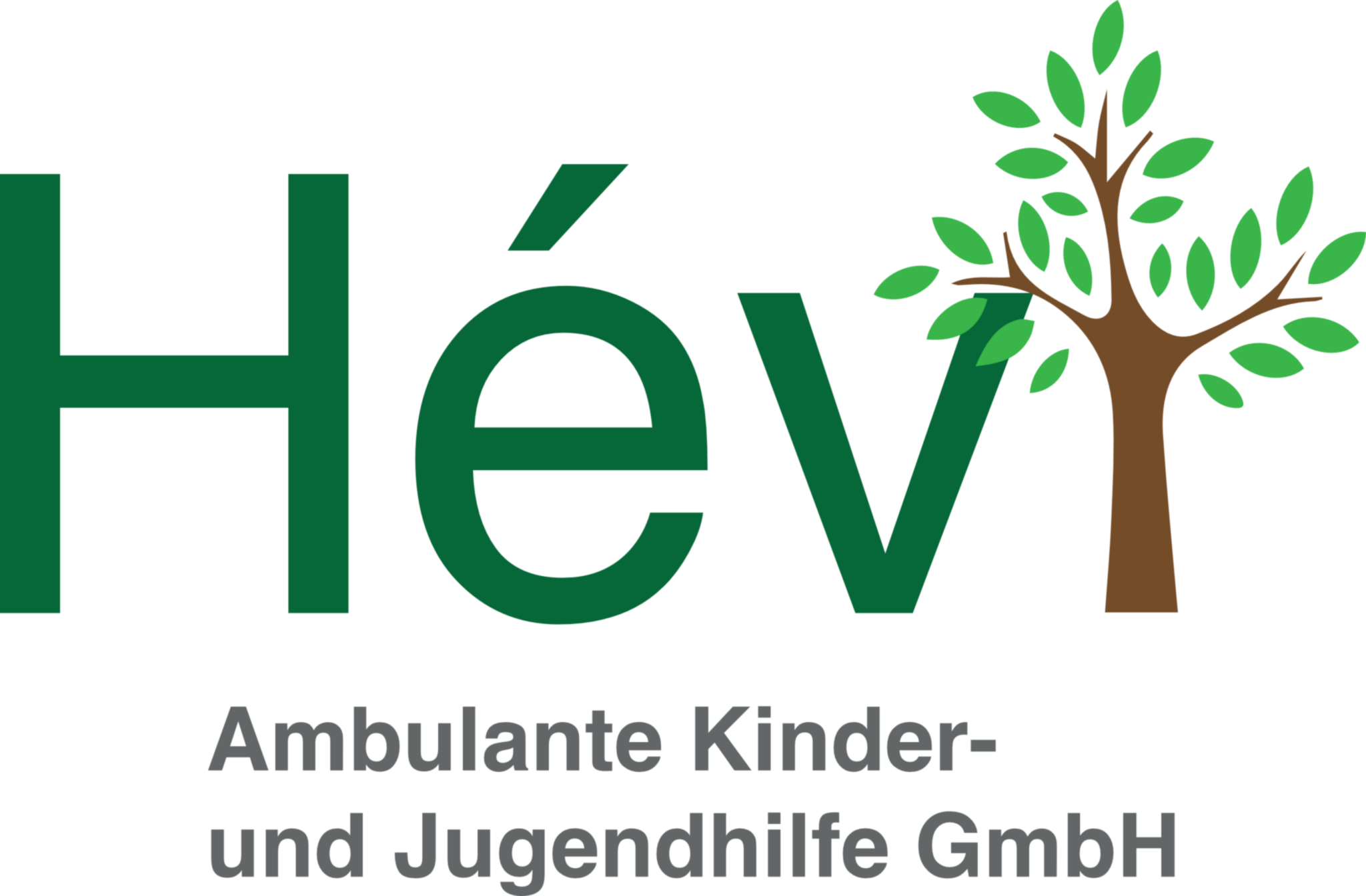 Hévi Ambulante Kinder- und Jugendhilfe GmbH – Hoffnung für unsere Zukunft